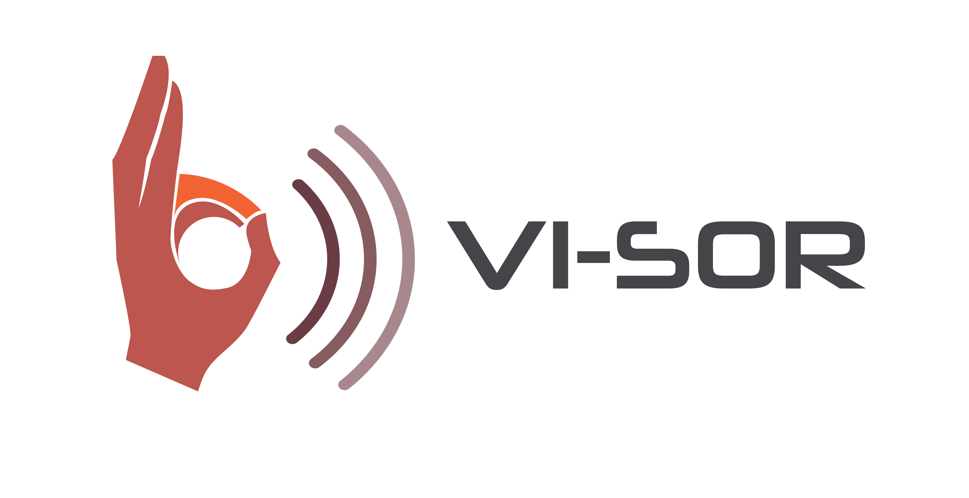 Viser Logo